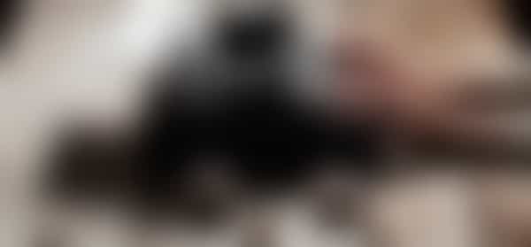 National Novel Writing Month (November 2022) | Days Of The Year