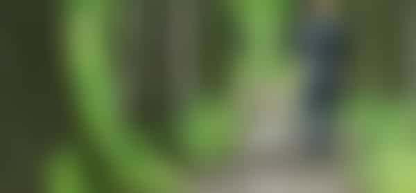 Walk Your Dog Week (Oct 1st to Oct 7th) | Days Of The Year