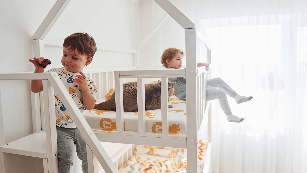 Bunks Across America (September 14th, 2024) | Days Of The Year