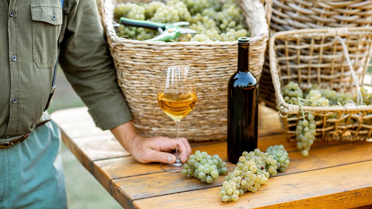 Chardonnay Day (May 22nd, 2025) | Days Of The Year