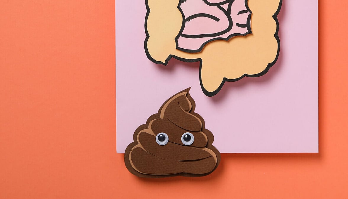 National Poop Day (February 9th, 2026) | Days Of The Year
