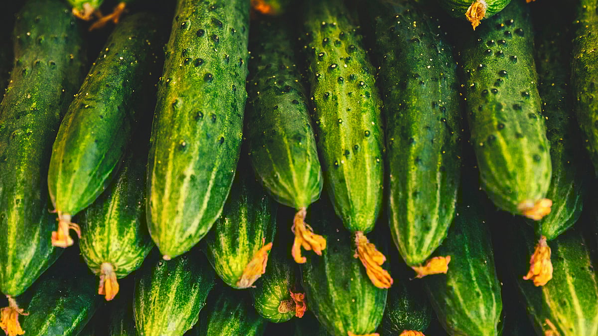 Cucumber Month (June 2025) | Days Of The Year