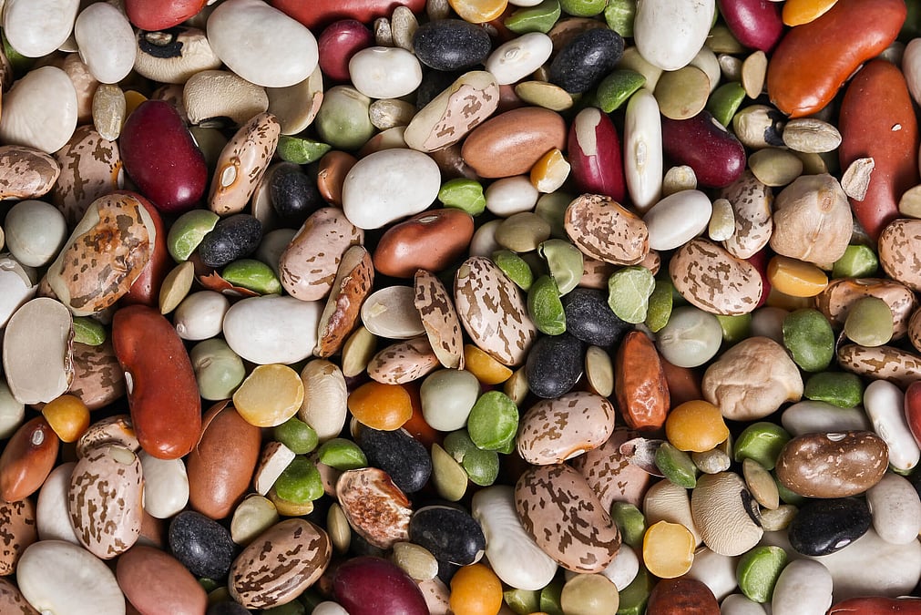 National Eat Your Beans Day (July 3rd) | Days Of The Year