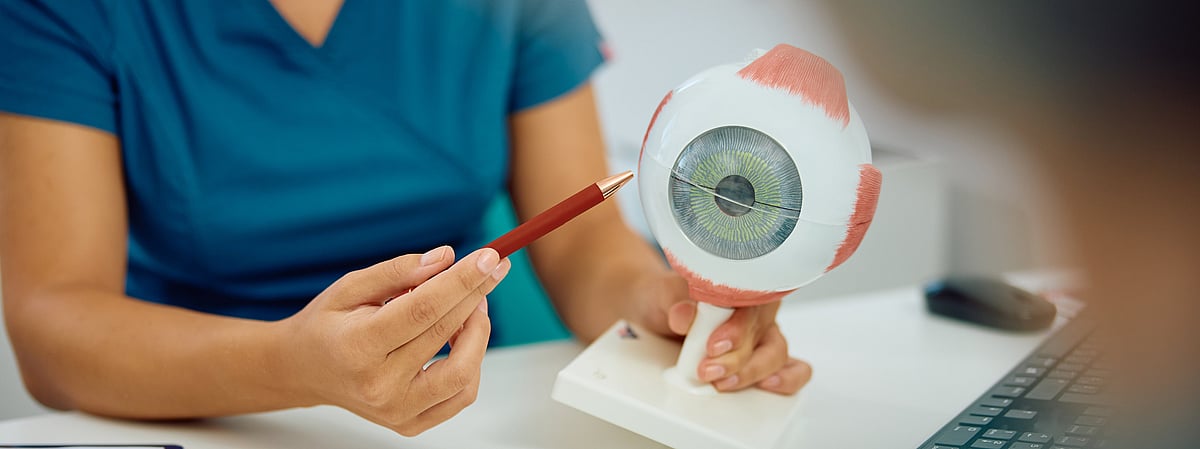 Eye Donor Awareness Month (November 2025) | Days Of The Year