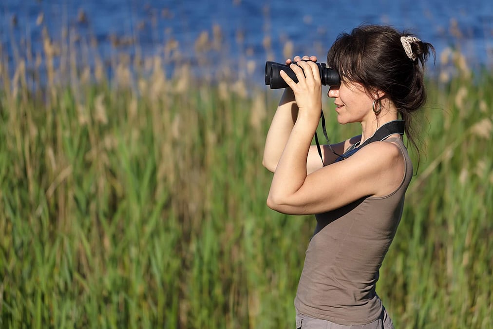 National Go Birding Day (April 26th, 2025) | Days Of The Year