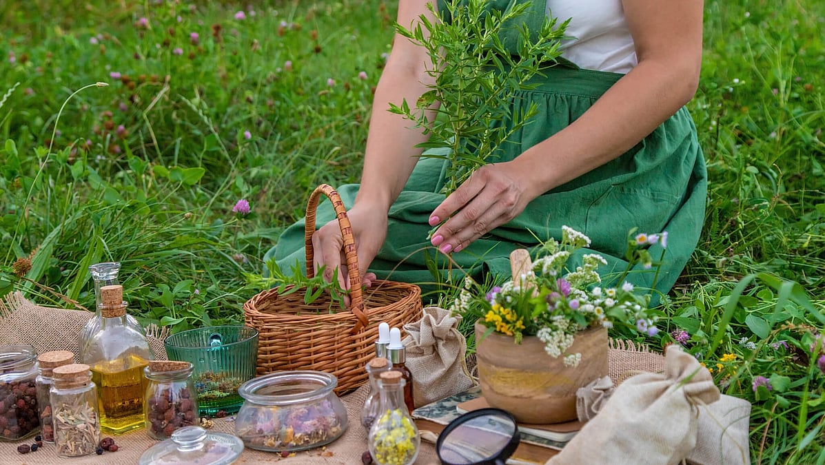 Herbalist Day (April 17th) | Days Of The Year