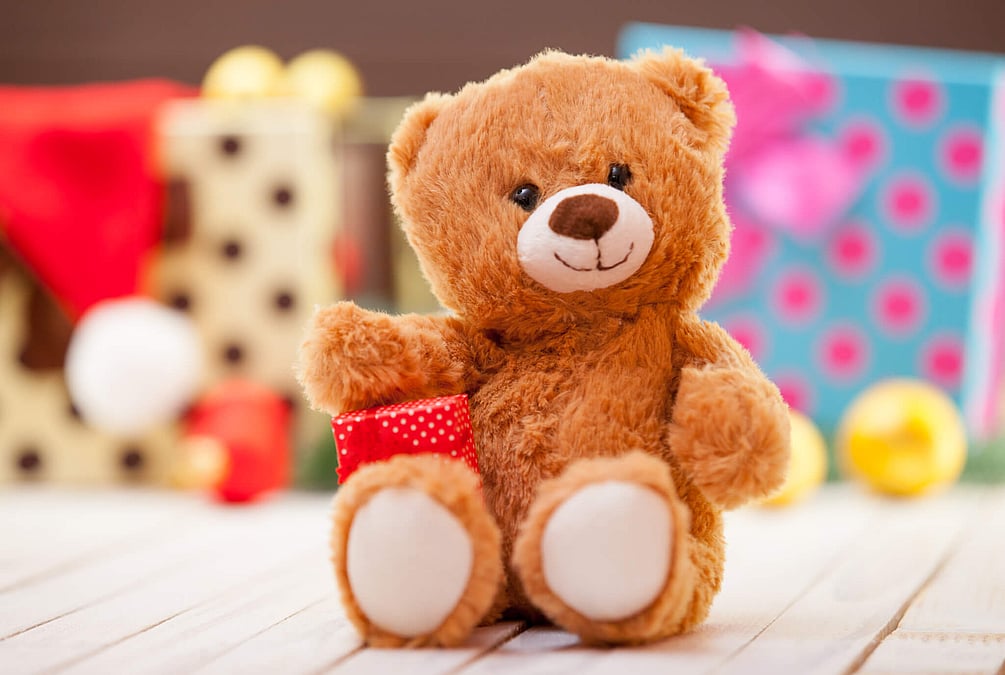 Teddy Day (February 10th) | Days Of The Year