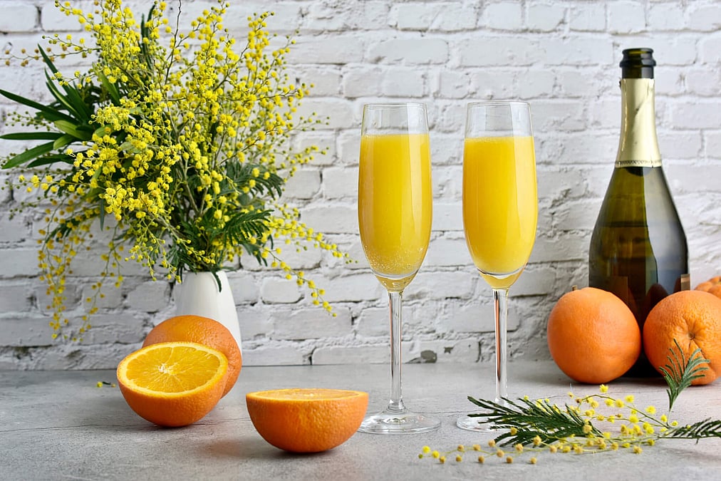 National Mimosa Day (May 16th) | Days Of The Year