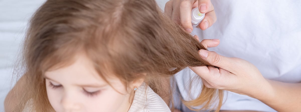 National Bug Busting Day (June 15th) | Days Of The Year