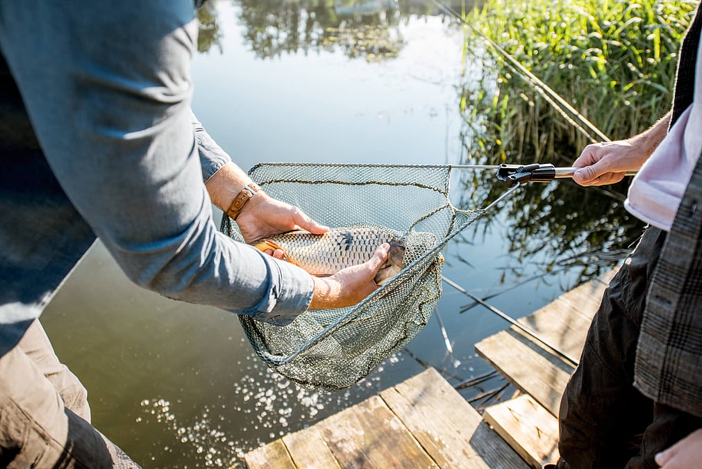 National Catch and Release Day (April 12th, 2025) | Days Of The Year