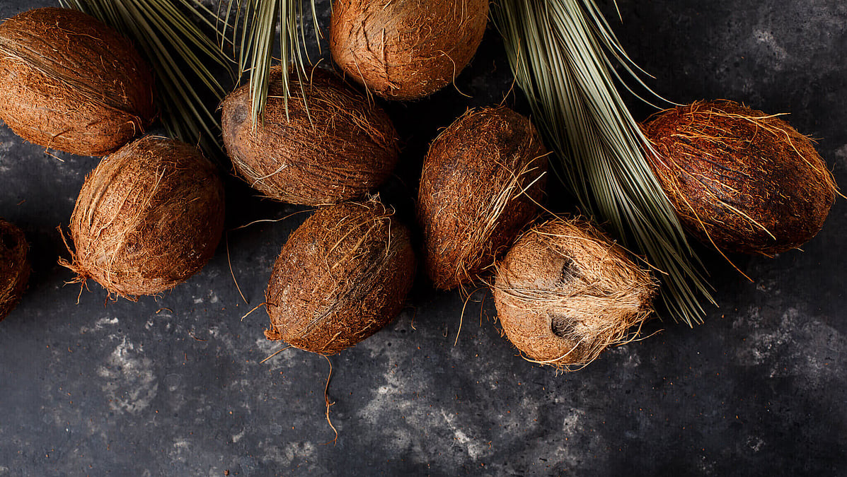 National Coconut Day (June 26th) | Days Of The Year