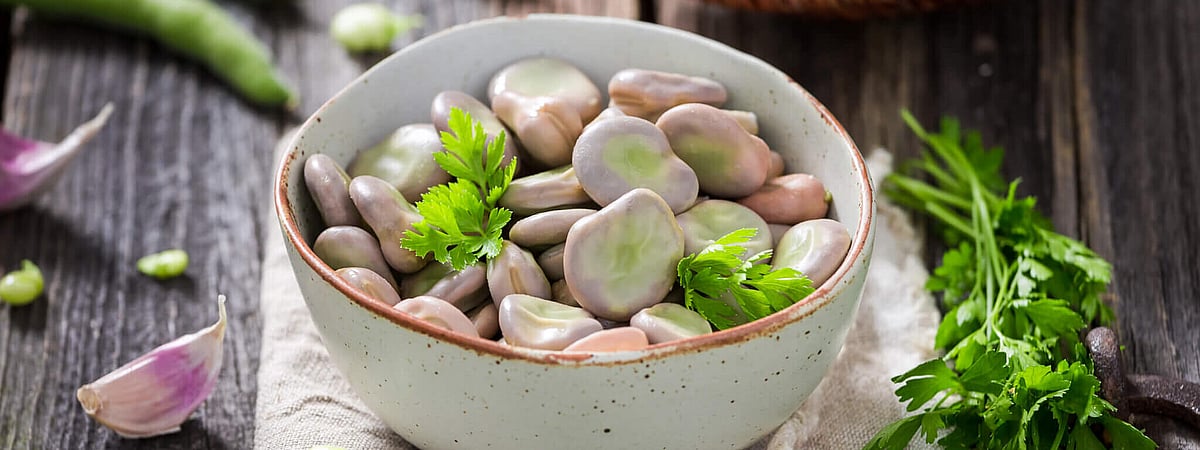 National Lima Bean Respect Day (April 20th) | Days Of The Year