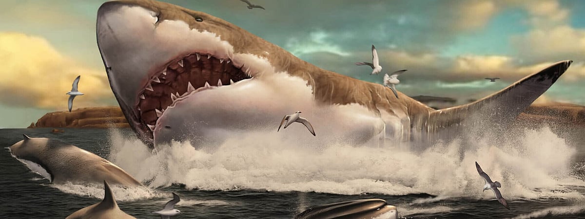 National Megalodon Day (June 15th) | Days Of The Year