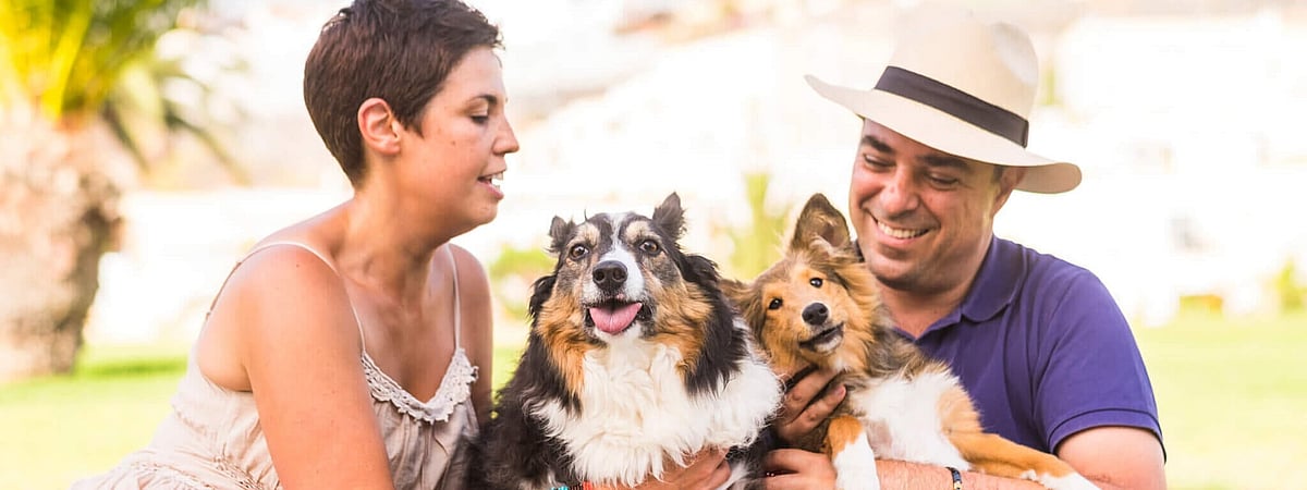 National Pet Parents Day (April 27th, 2025) | Days Of The Year