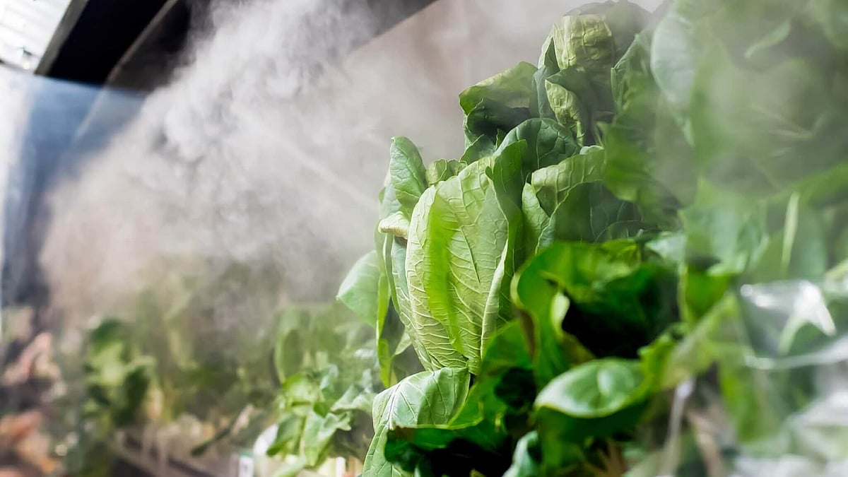 National Produce Misting Day (October 2nd) | Days Of The Year