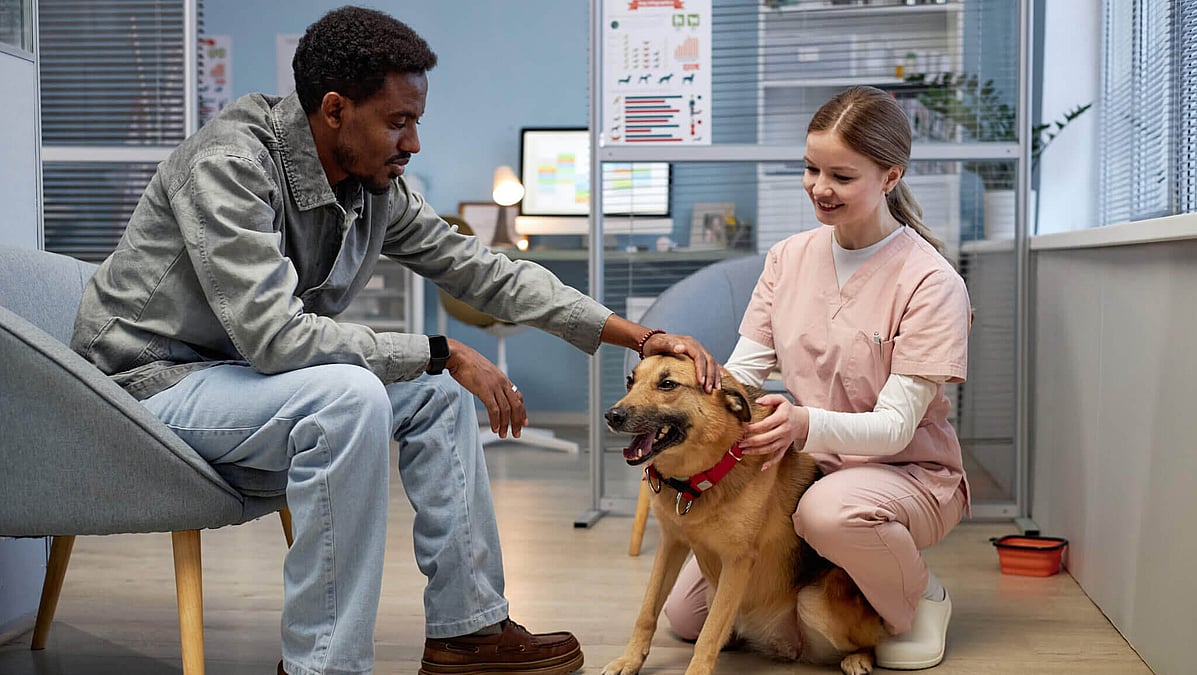 National Therapy Animal Day (April 30th) | Days Of The Year