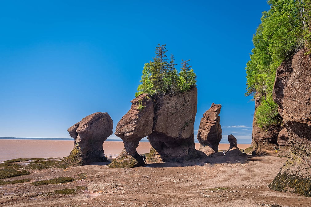 New Brunswick Day (August 4th, 2025) | Days Of The Year