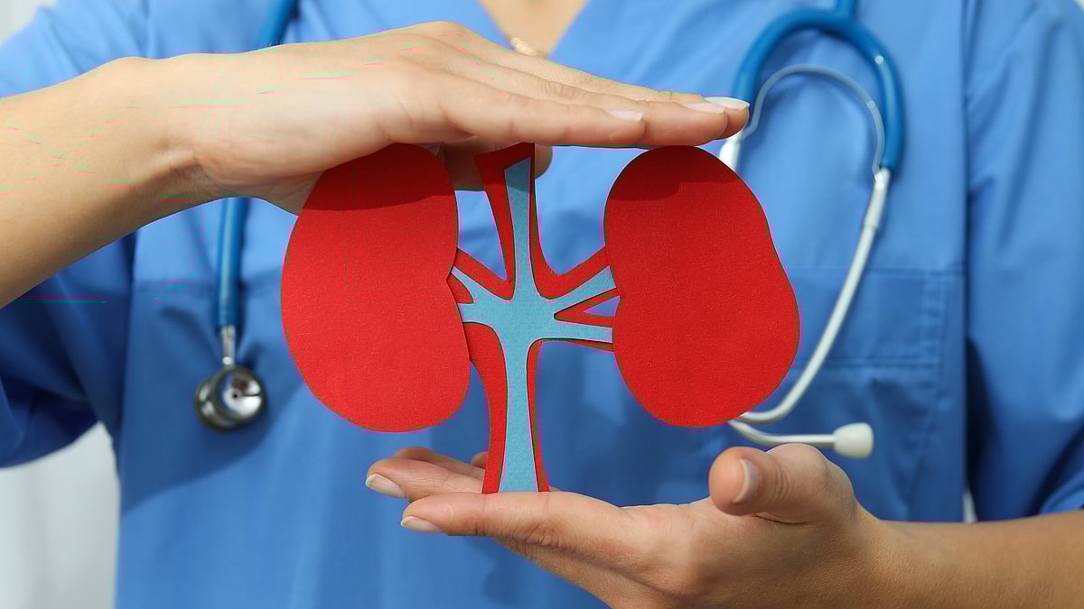 NYC Kidney Walk (November 8th) | Days Of The Year