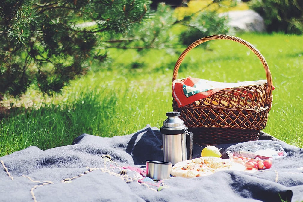 National Picnic Day (April 23rd) | Days Of The Year