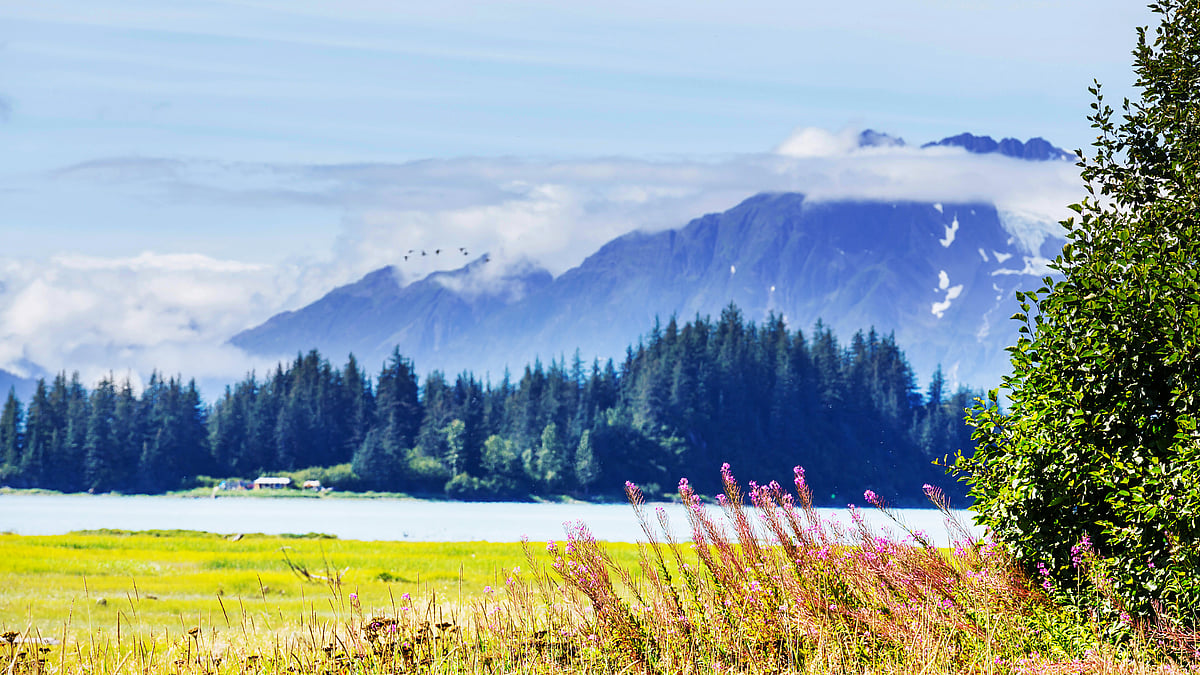 Seward's Day (March 31st, 2025) | Days Of The Year