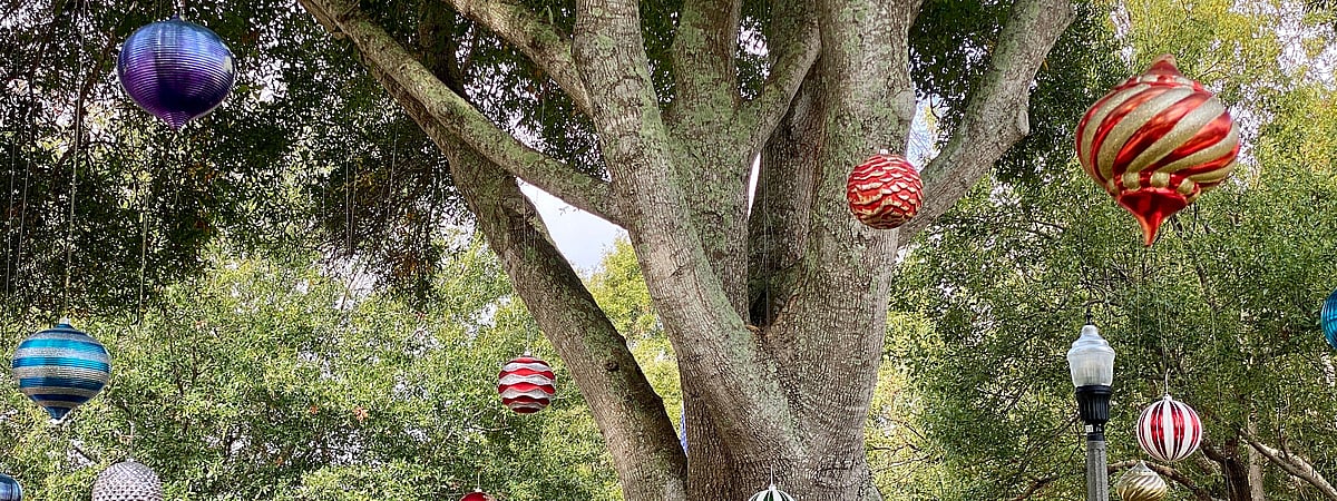 Tree Dressing Day (December 6th, 2025) | Days Of The Year