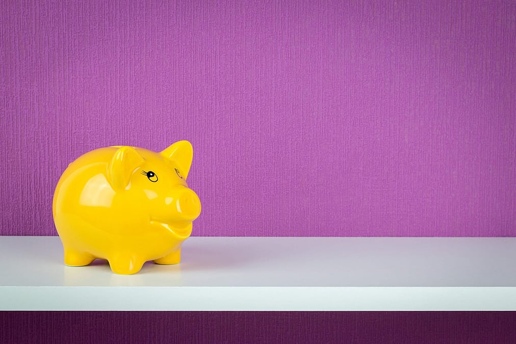 National Yellow Pig Day (July 17th) | Days Of The Year