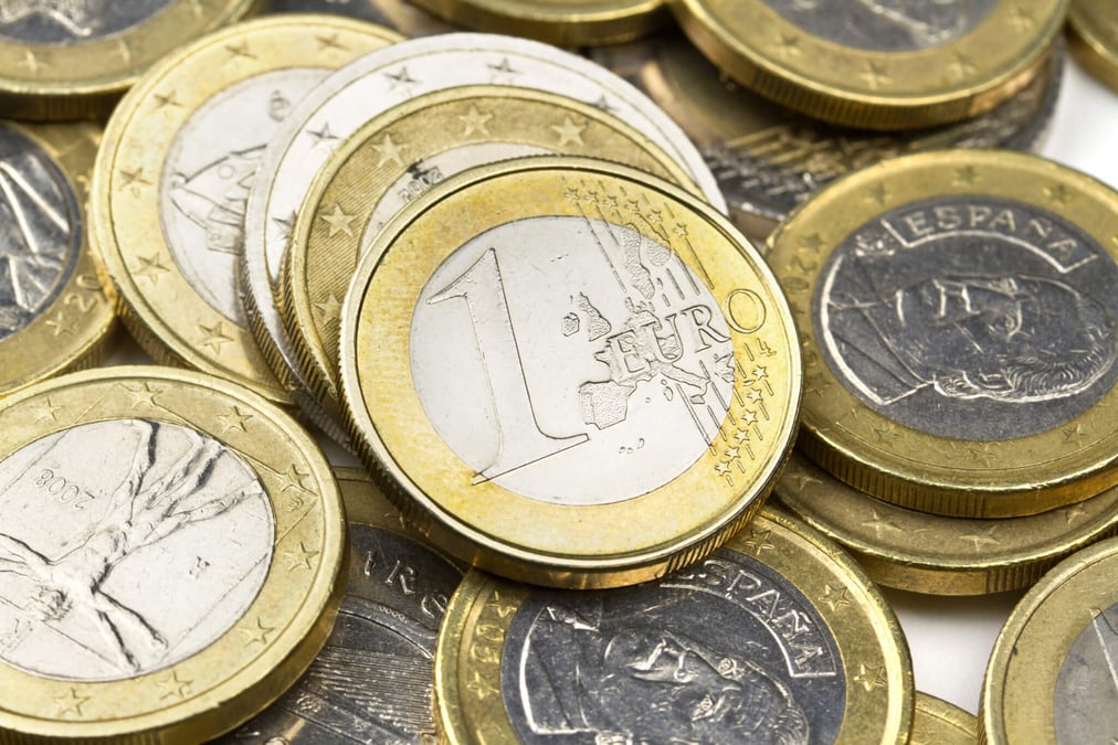 Euro Day (January 1st) | Days Of The Year