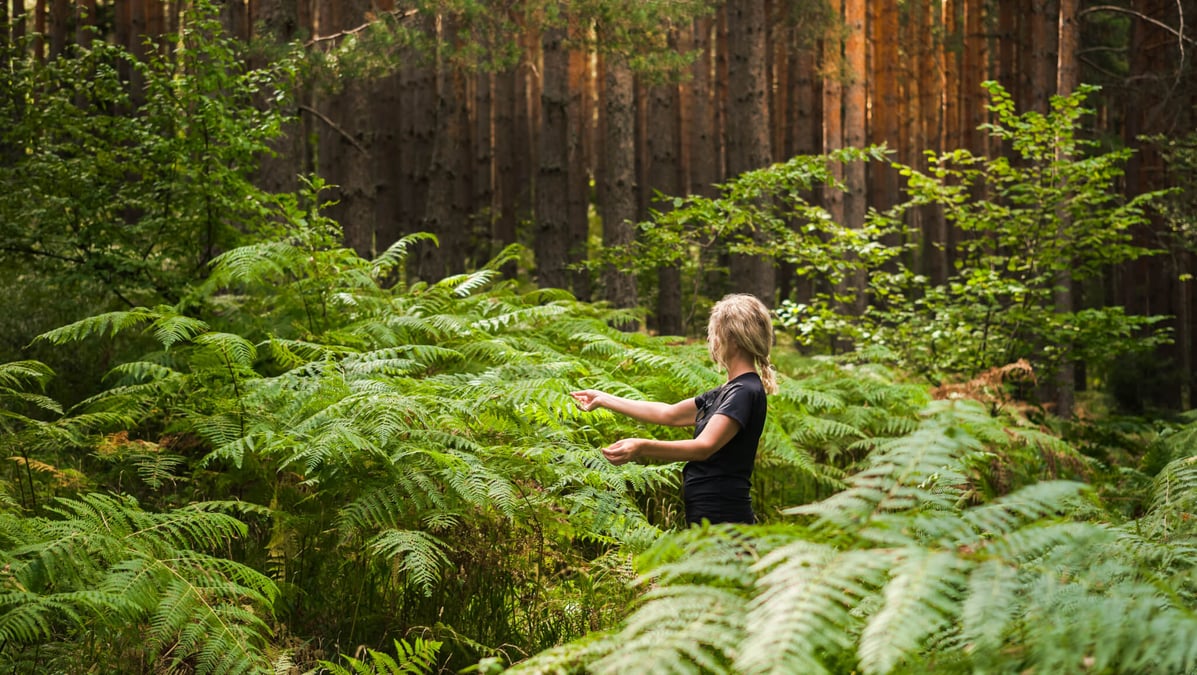 World Rewilding Day (March 20th) | Days Of The Year