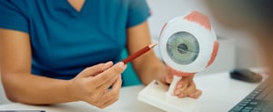 Eye Donor Awareness Month (November 2024) | Days Of The Year