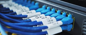 World Wide Web Day (August 1st) | Days Of The Year