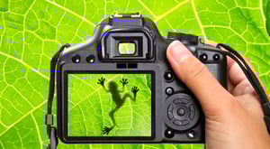 National Smile Power Day (June 15th) | Days Of The Year