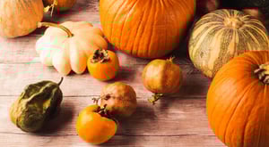 National Pumpkin Day (October 26th) | Days Of The Year