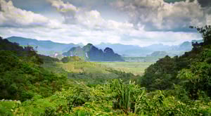 Positive Media Day (June 22nd) | Days Of The Year