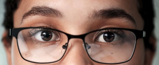 Bifocals at the Monitor Liberation Day (December 1st) | Days Of The Year