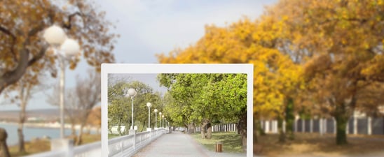 National Photography Month (May 2025) | Days Of The Year