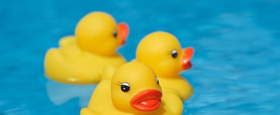 National Rubber Ducky Day (January 13th) | Days Of The Year