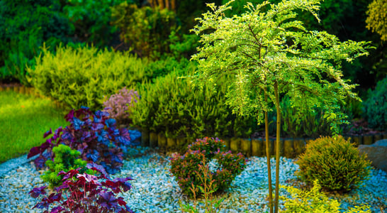 National Garden Month (April 2025) | Days Of The Year