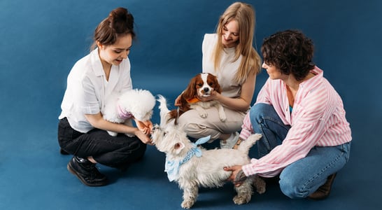 Go For A Ride Day (November 22nd) | Days Of The Year