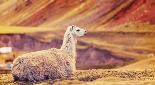 National Pastry Day (December 9th) | Days Of The Year