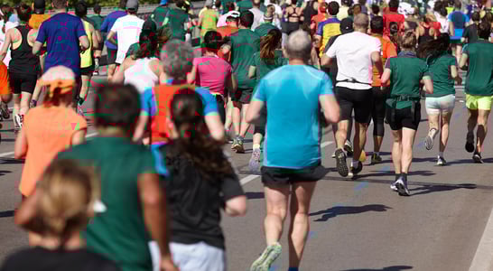 World Tapir Day (April 27th) | Days Of The Year