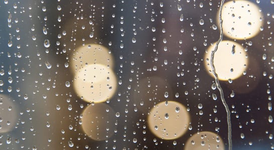 National Lasagna Day (July 29th) | Days Of The Year