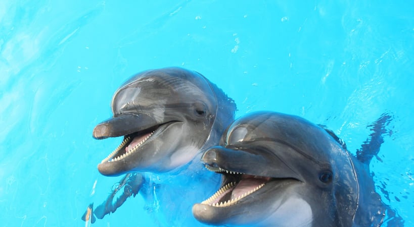 National Look Up at the Sky Day (April 14th) | Days Of The Year