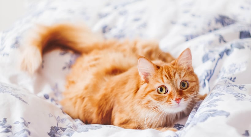 Friendship Month (September 2025) | Days Of The Year