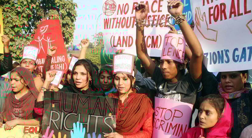 International Animal Rights Day (December 10th) | Days Of The Year