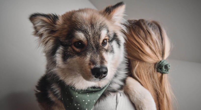 National Dress Up Your Pet Day (January 14th) | Days Of The Year