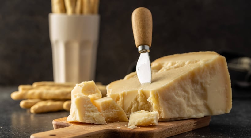 National Cheese Lovers Day (January 20th) | Days Of The Year