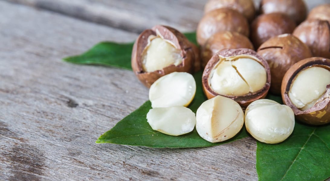 Roast Chestnuts Day (December 14th) | Days Of The Year