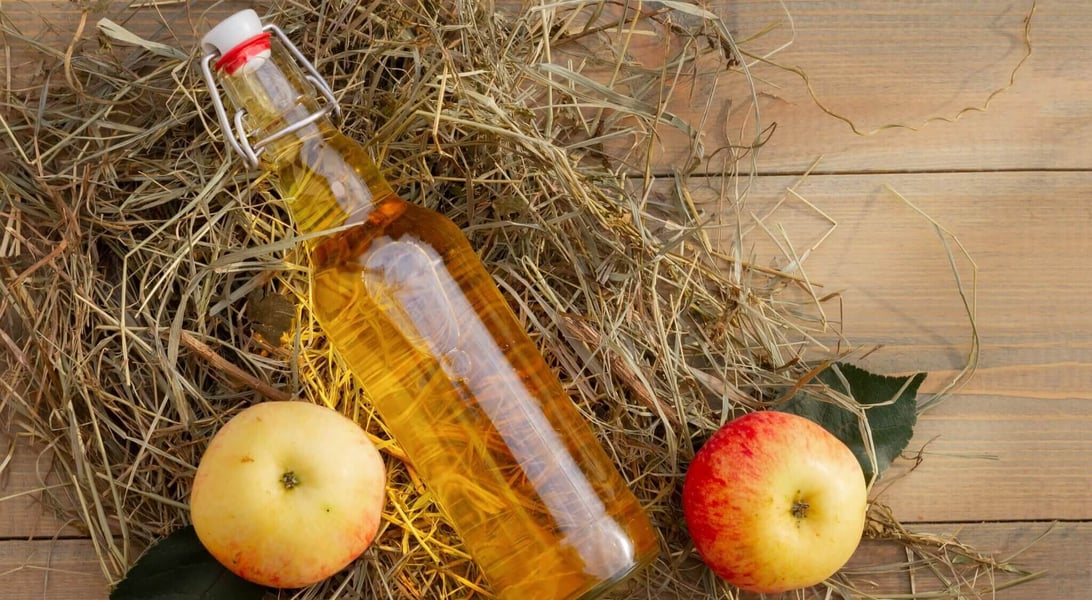 National Pumpkin Day (October 26th) | Days Of The Year