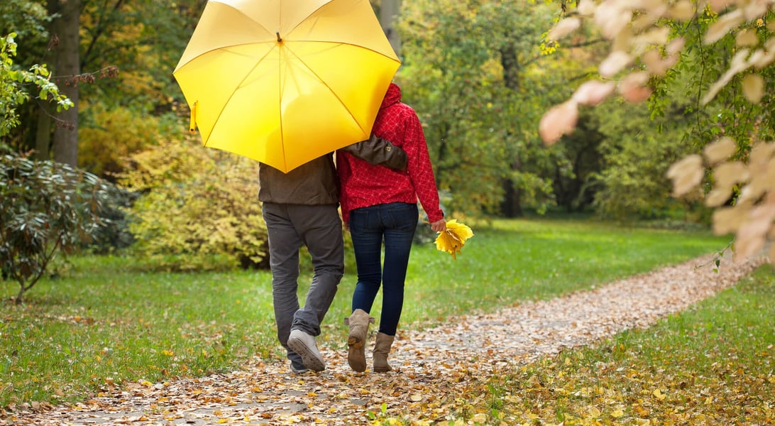 National Flannel Day (February 10th) | Days Of The Year