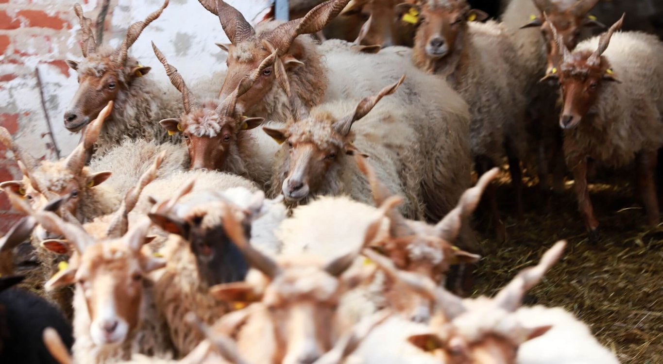 National Holidays on May 24th, 2025 | Days Of The Year